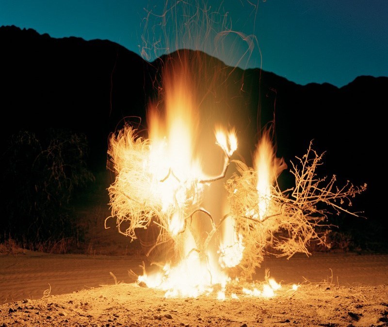 Are You Waiting For a Burning Bush? – Unity Baptist Church